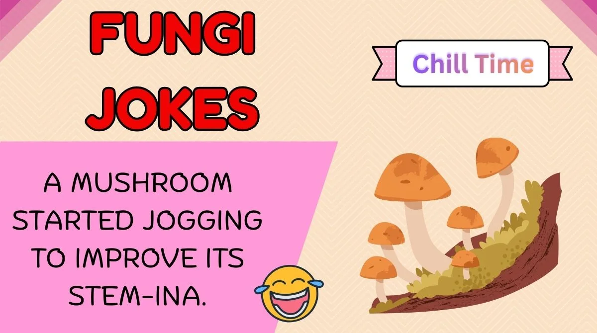 139+ Fungi Jokes That Will Grow On You For 2026 UPdated🍄😂 (Hilarious ...